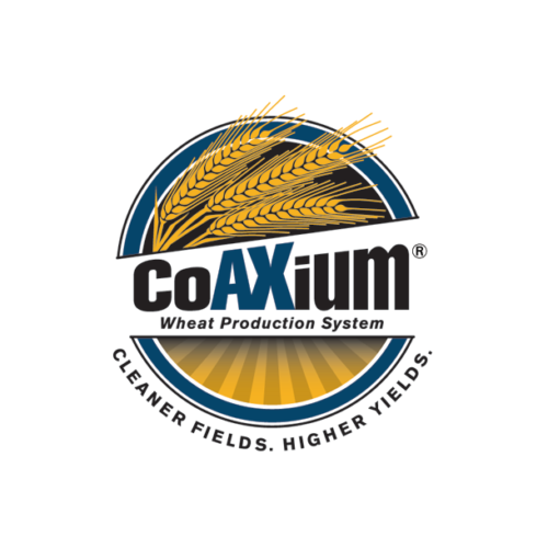 CoAXium Wheat Production System for controlling grassy weeds in wheat.