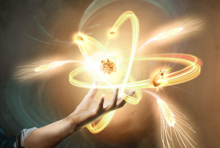 Wheat Varieties - CoAXium